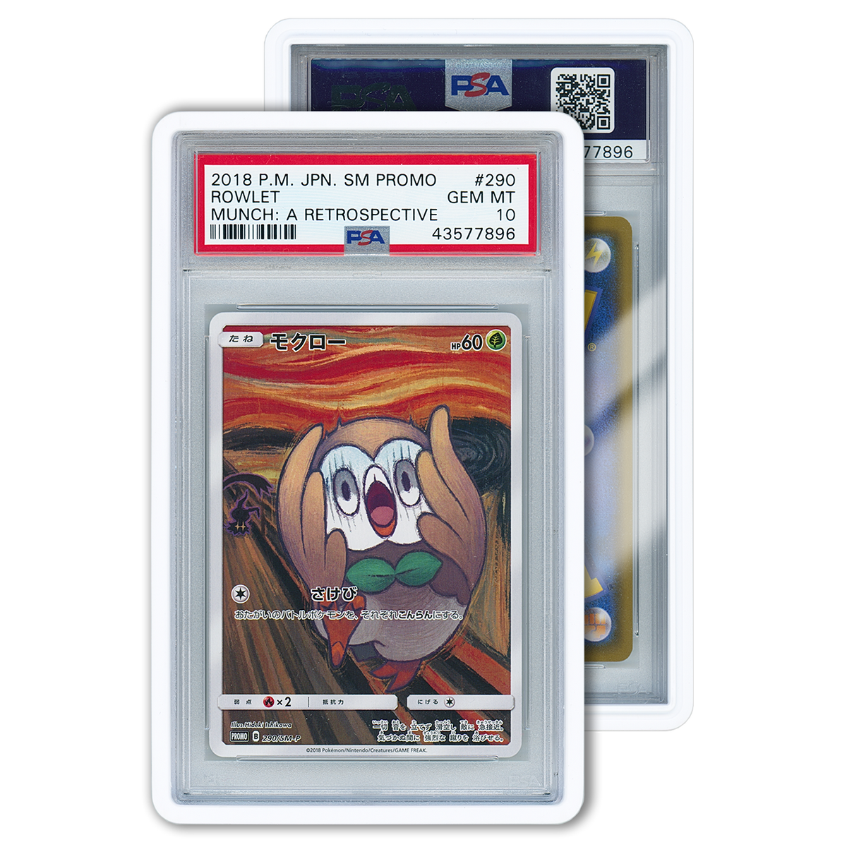 Graded Guard PSA Standard Case - White – 763 Collectibles